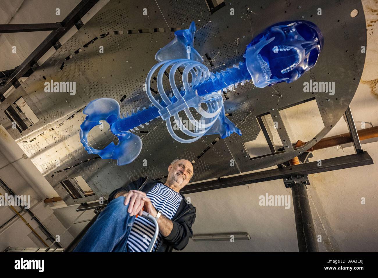 A part of a glass human skeleton made by the glassmakers of the Studio ...