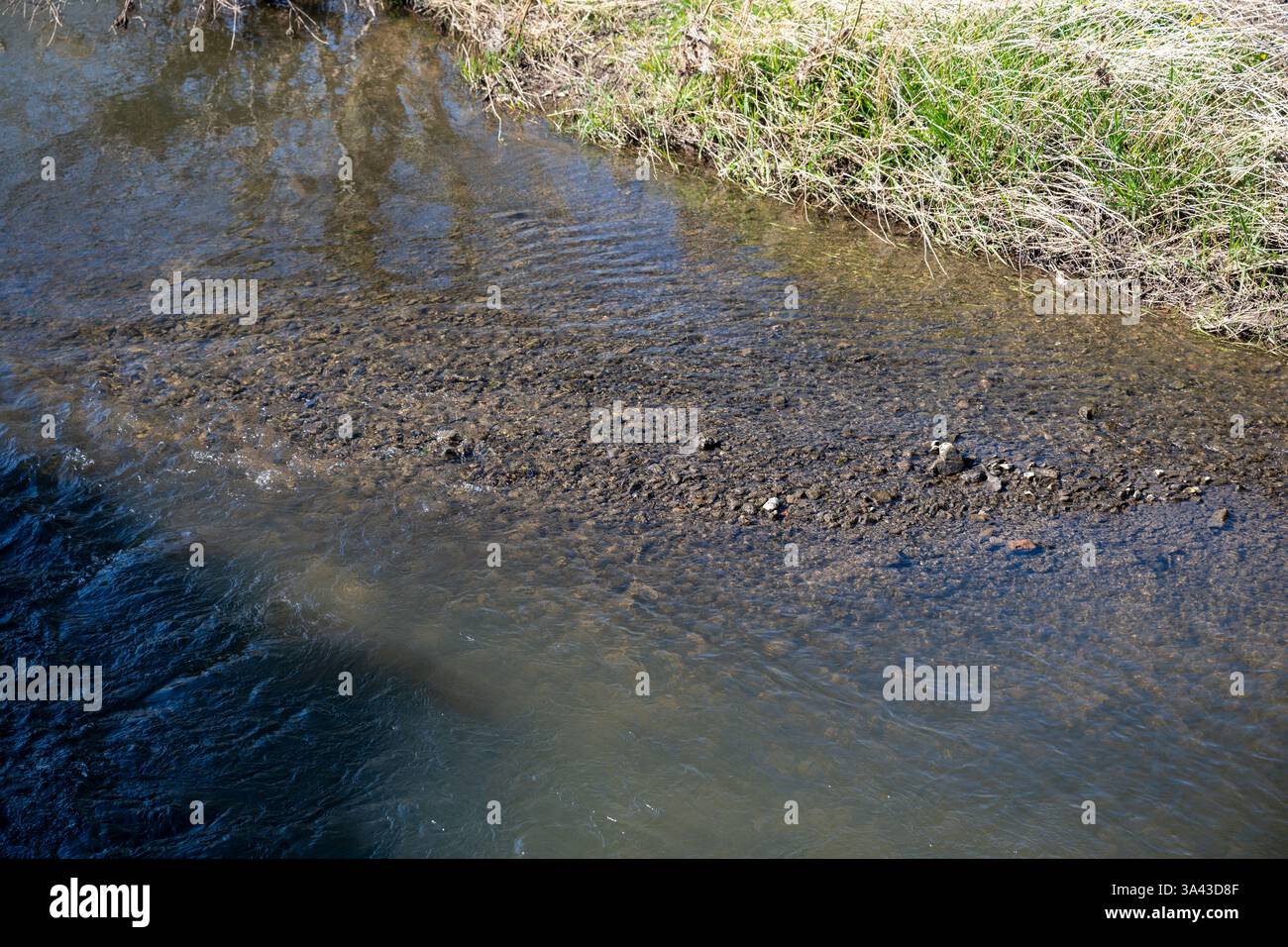Shallow areas are seen in a stream in springtime when the water level ...