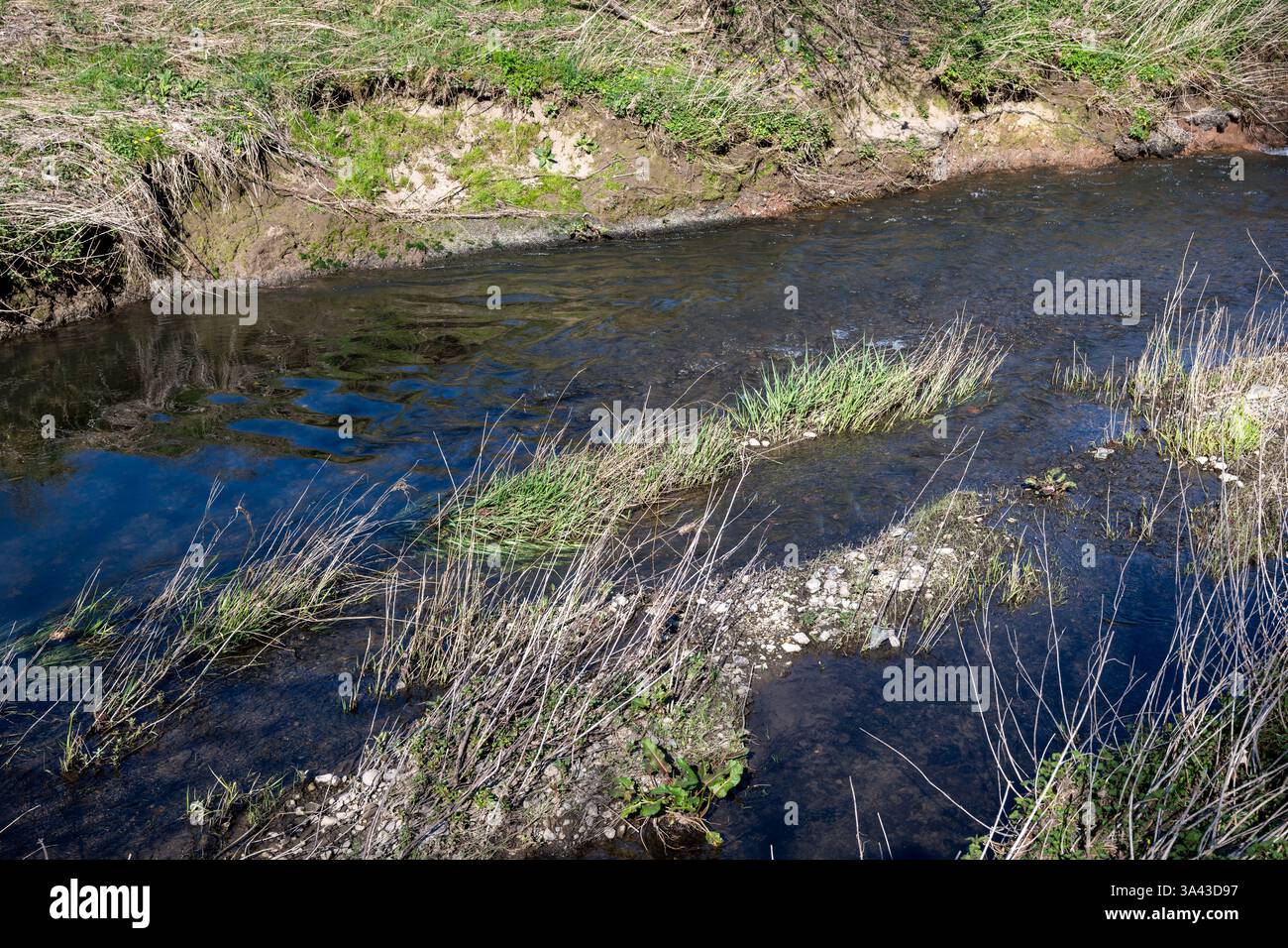 Shallow areas are seen in a stream in springtime when the water level ...