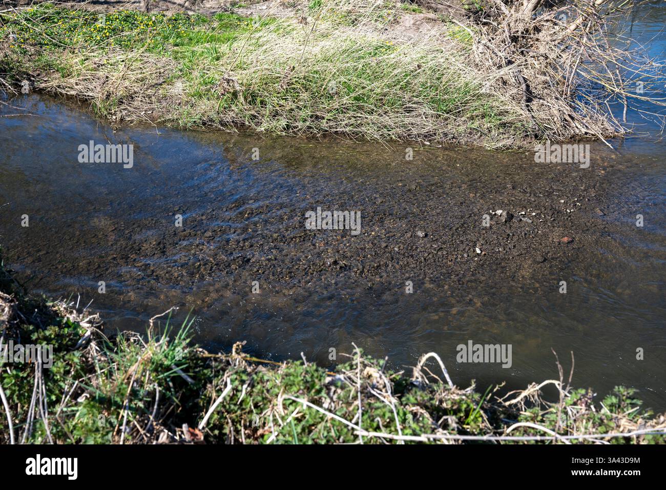 Shallow areas are seen in a stream in springtime when the water level ...