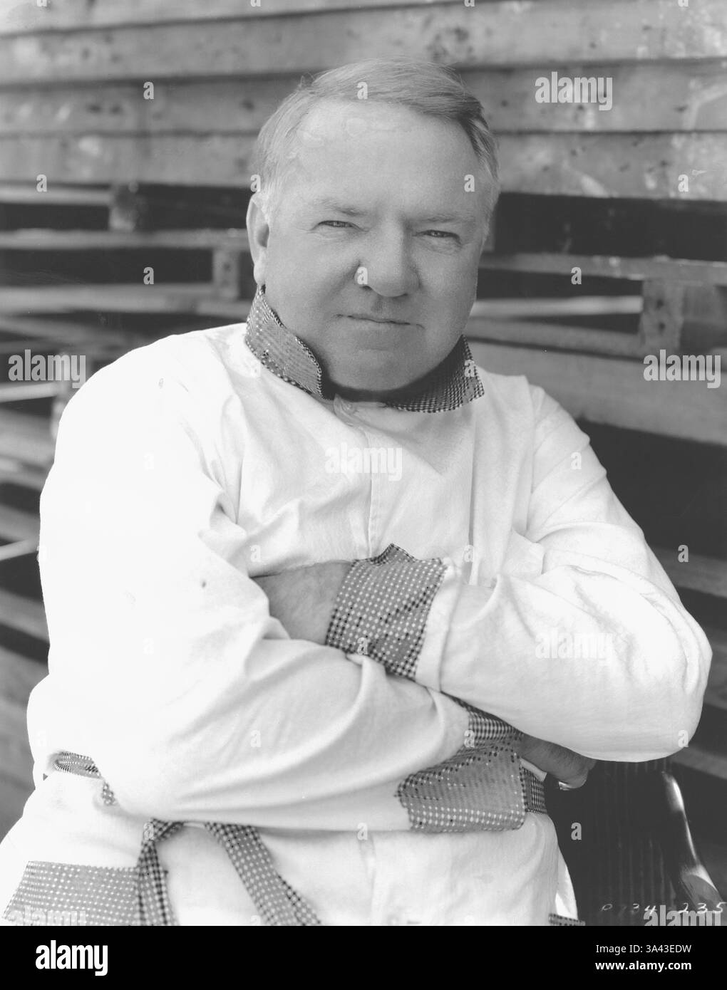 Portrait of WC Fields Stock Photo - Alamy