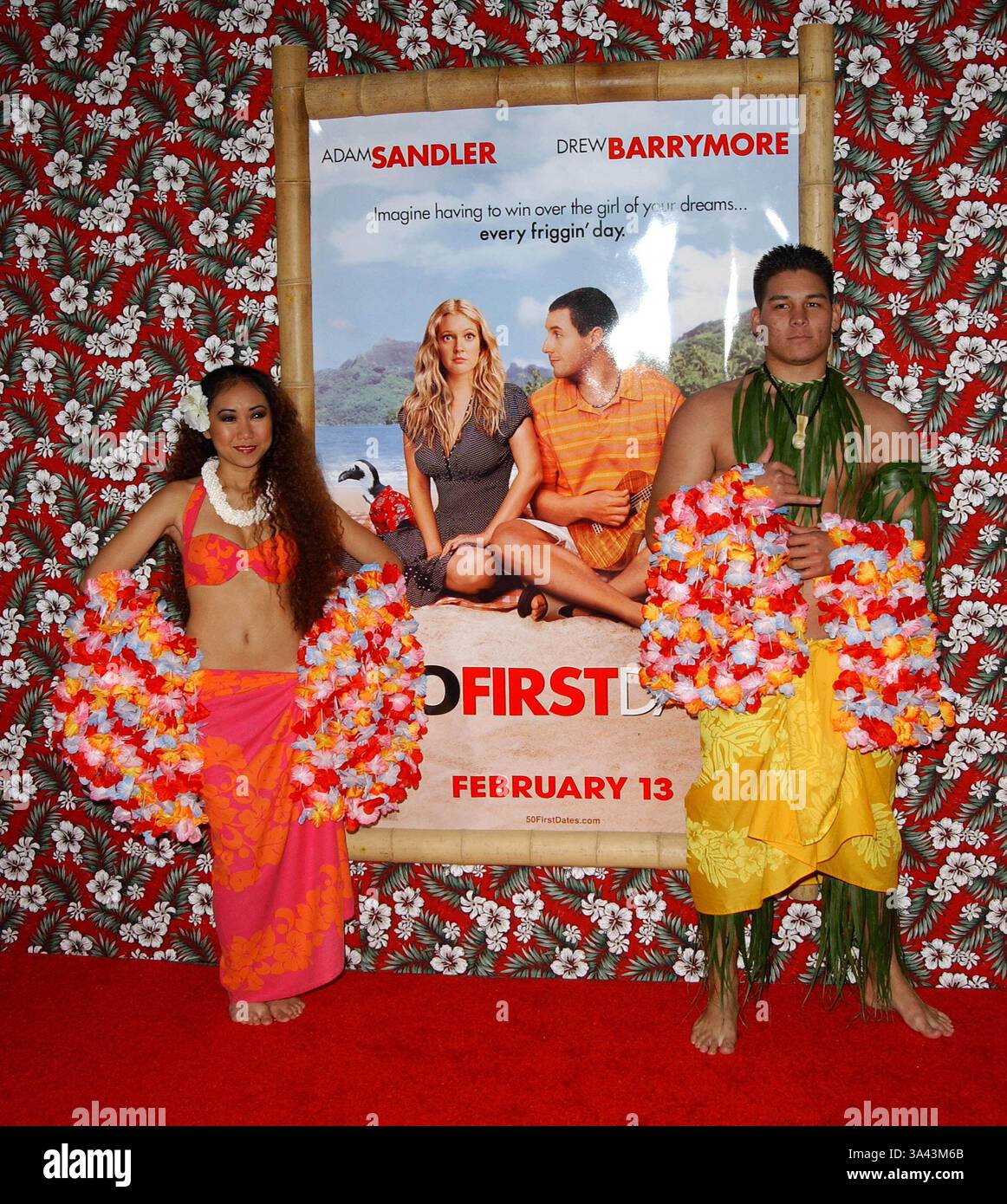 50 first dates poster hi-res stock photography and images - Alamy