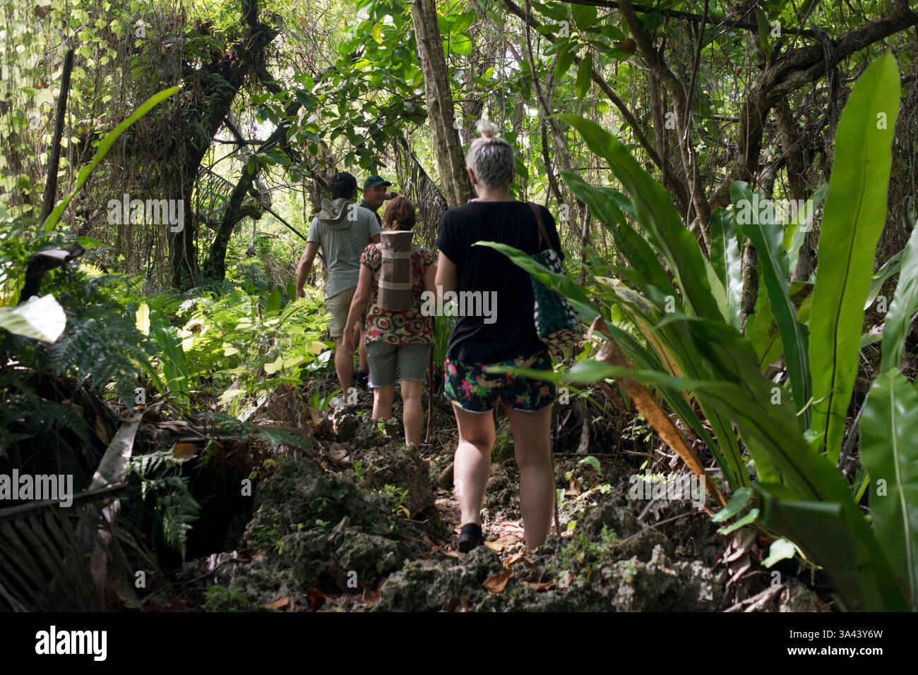 Atiu Island. Cook Island. Polynesia. South Pacific Ocean. Acces to ...
