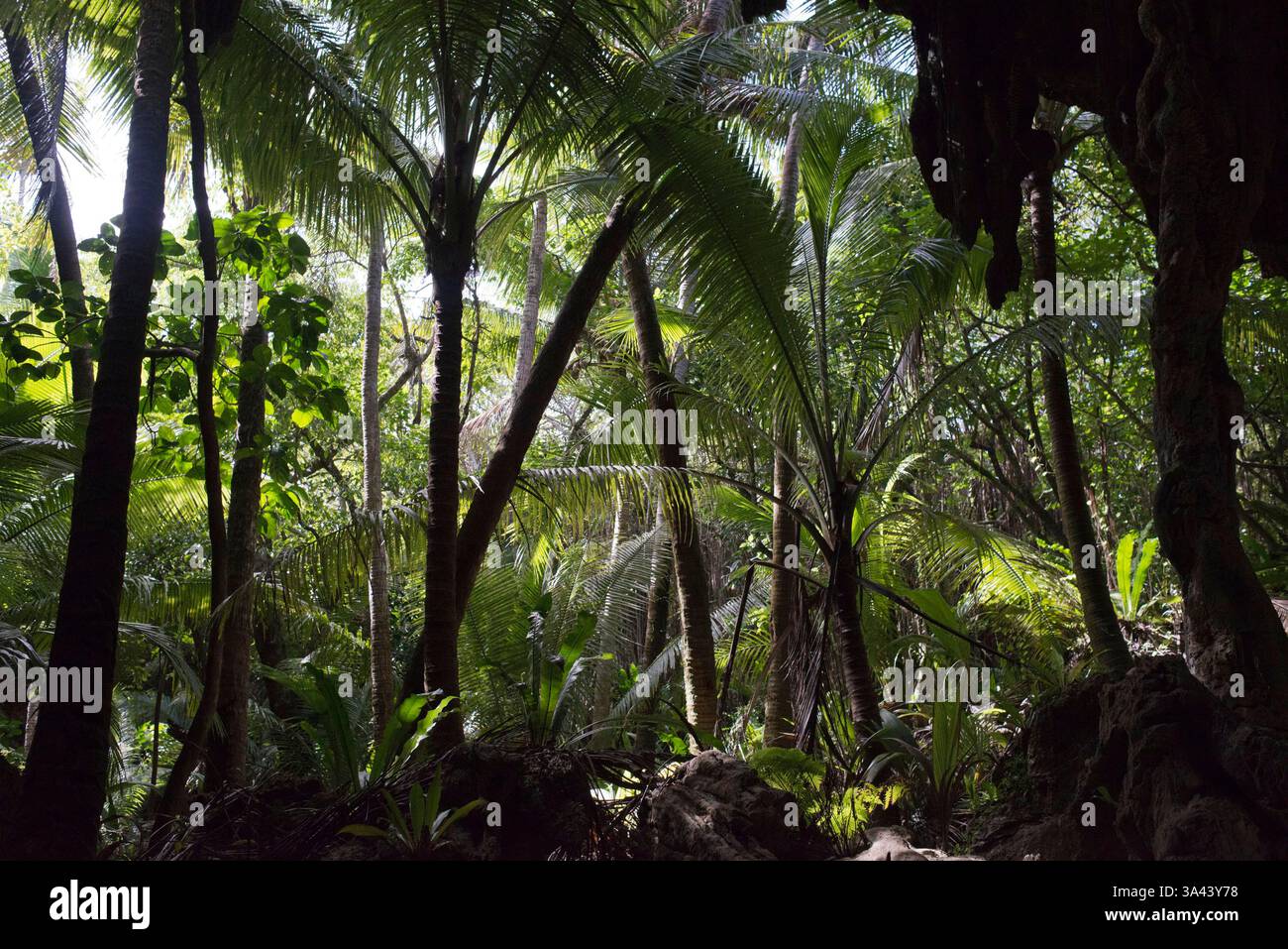 Atiu island hi-res stock photography and images - Alamy