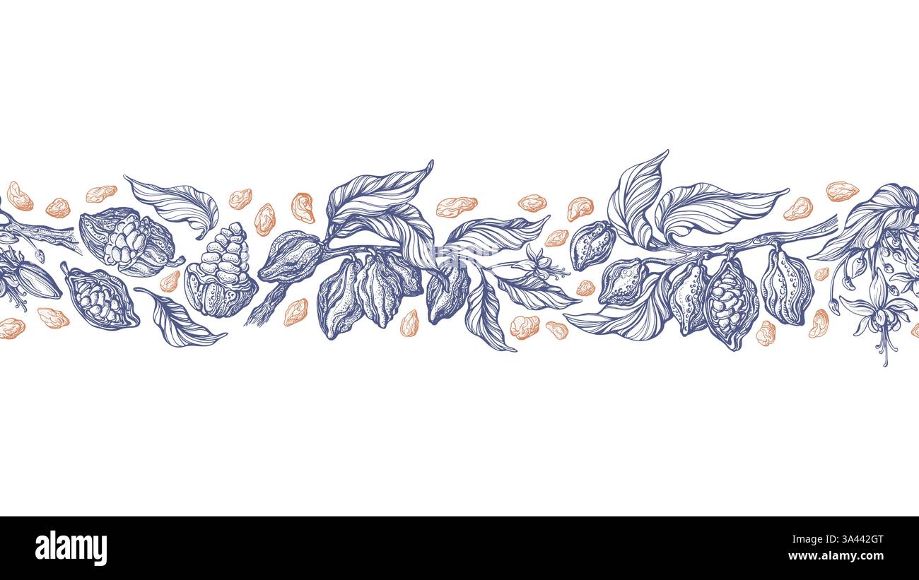 Cacao seamless pattern. Vector texture border. Art sketch of fruit ...
