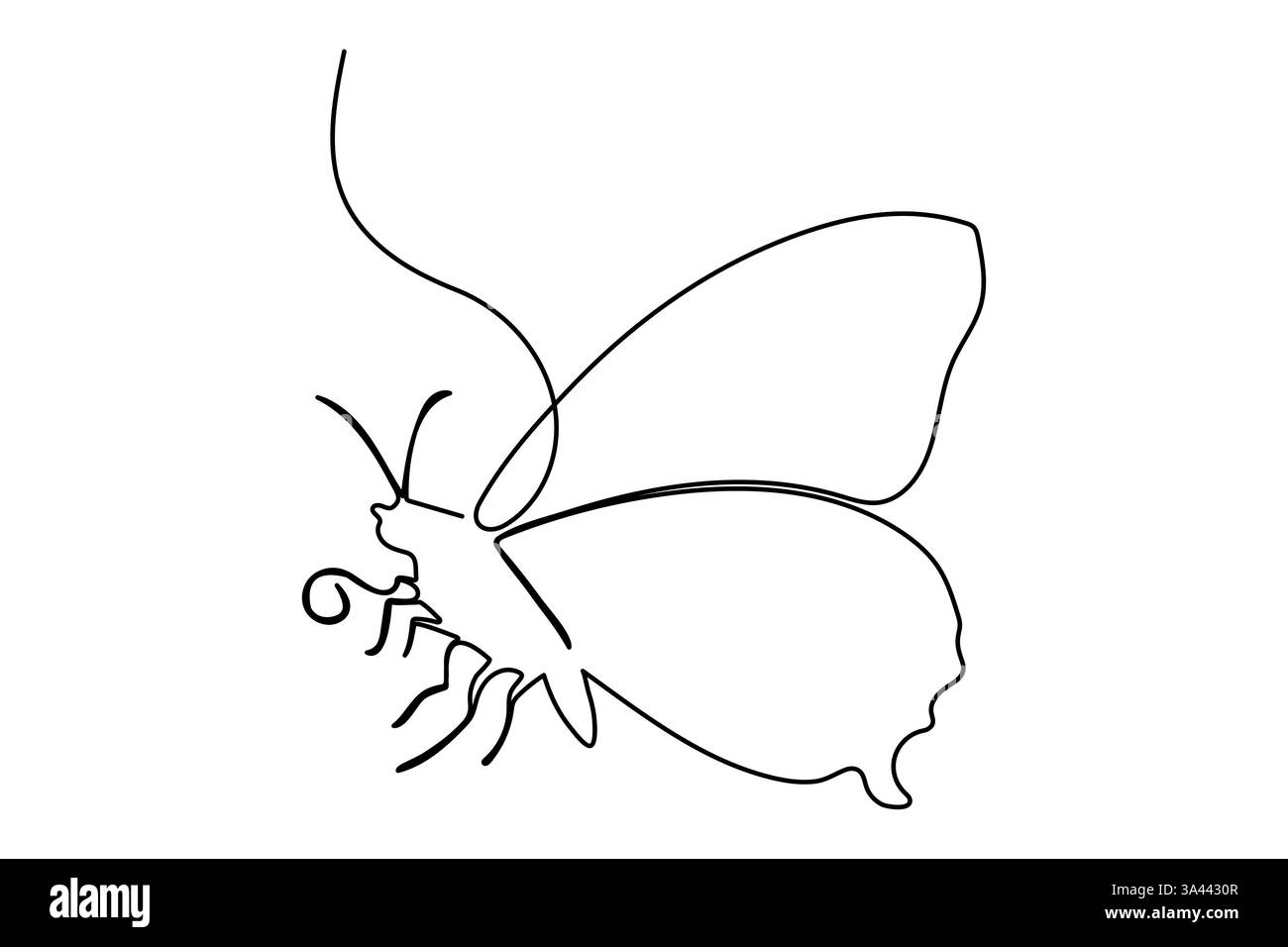 Butterfly single-line art elegantly captures the delicate beauty of a ...