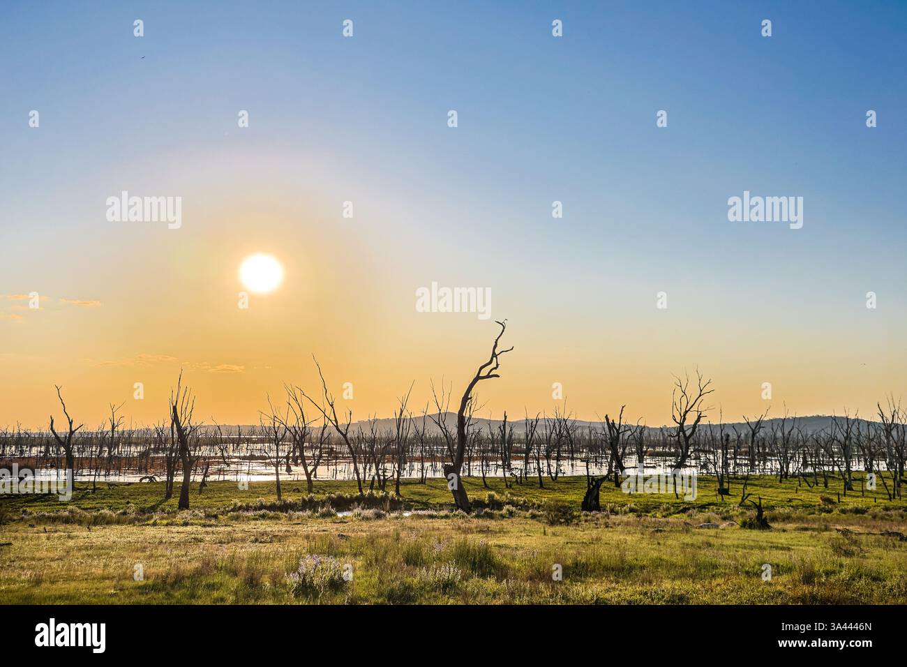 Mokoan park hi-res stock photography and images - Alamy