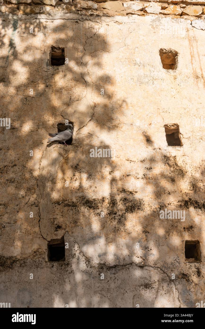 Pigeon holes in a wall in Tunisia Stock Photo - Alamy
