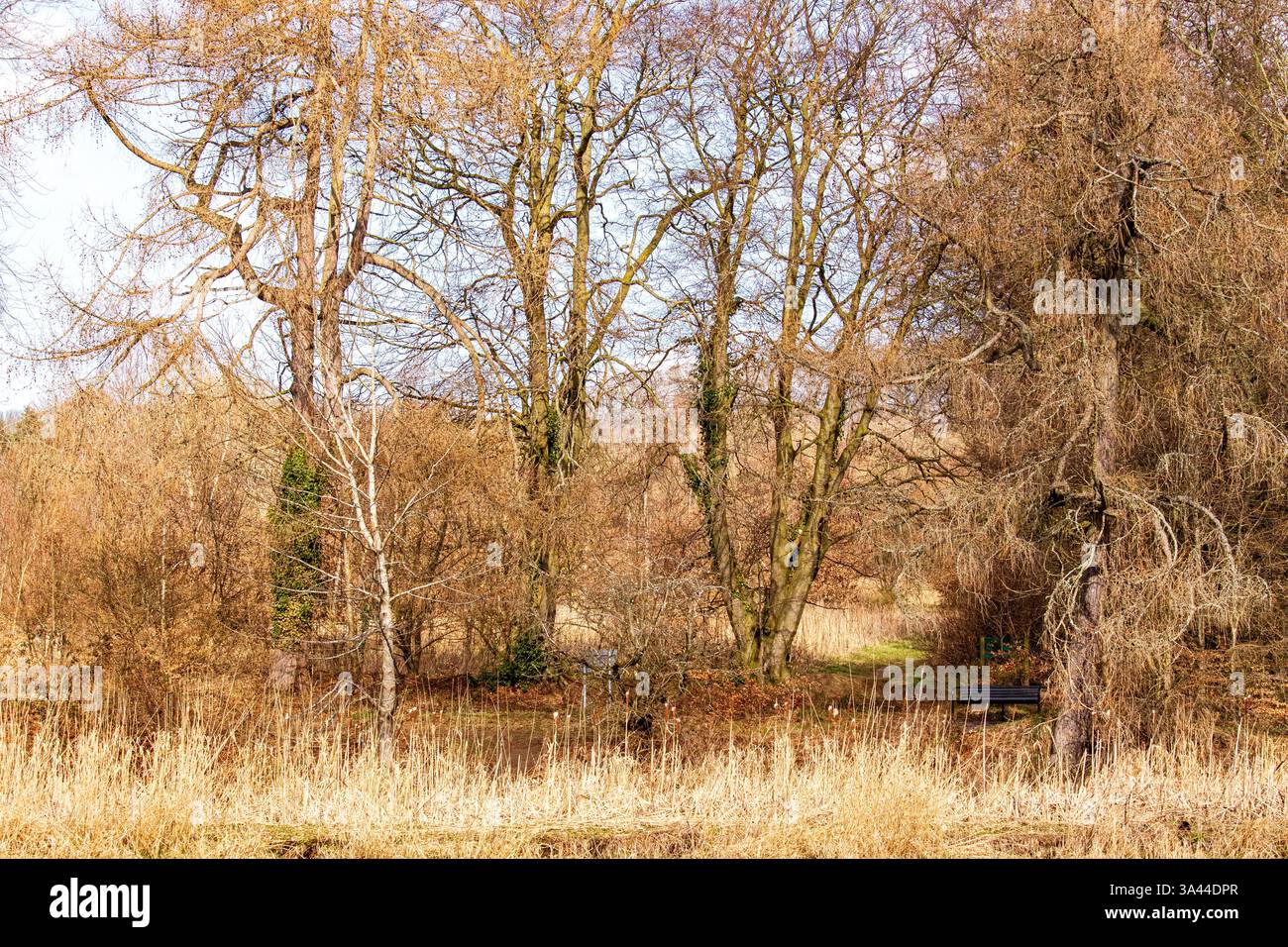 Dundee, Tayside, Scotland, UK. 18th Mar, 2025. UK Weather: Spring ...