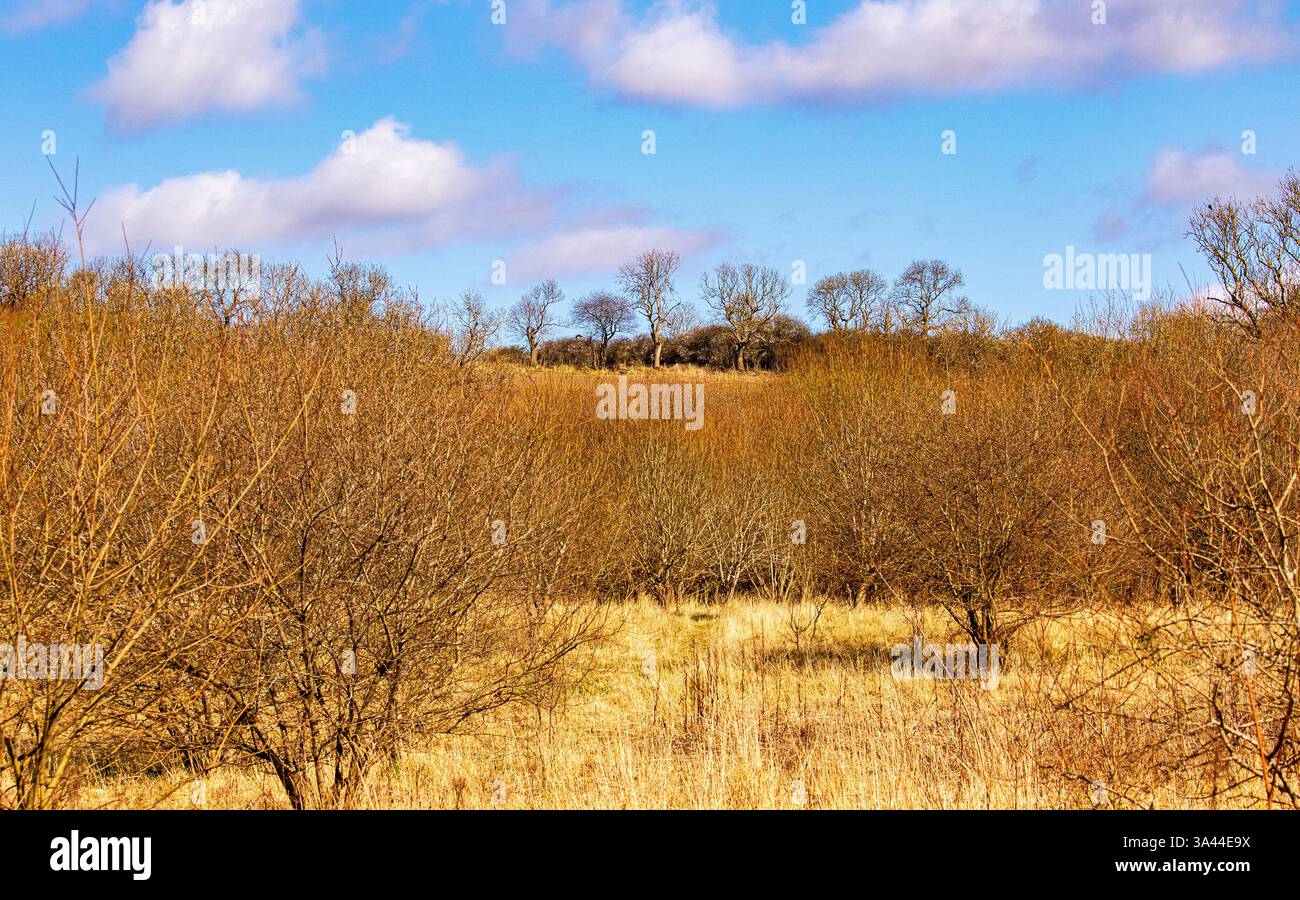 Dundee, Tayside, Scotland, UK. 18th Mar, 2025. UK Weather: Spring ...