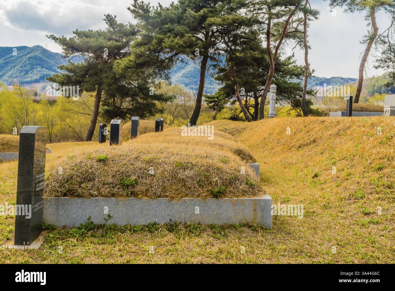 Daejeon, South Korea, March 31, 2019: Burial mounds in small graveyard ...