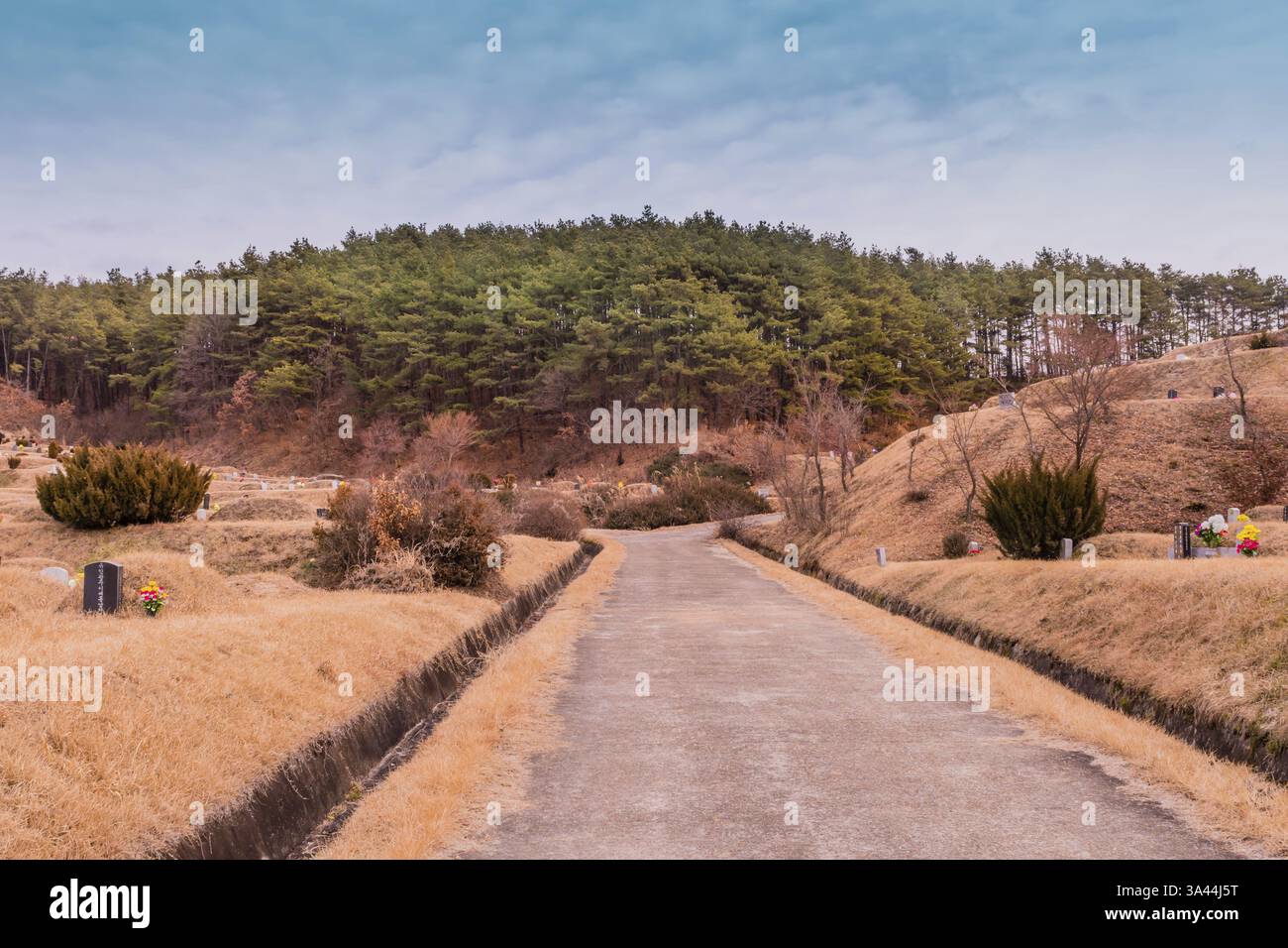 Cheongwon-gun, South Korea, January 26, 2020: Wide walkway into Maehwa ...