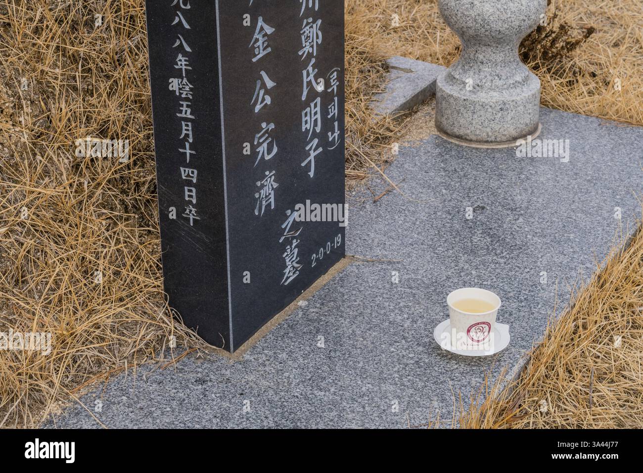 Cheongwon-gun, South Korea, January 26, 2020: Paper cup filled with ...
