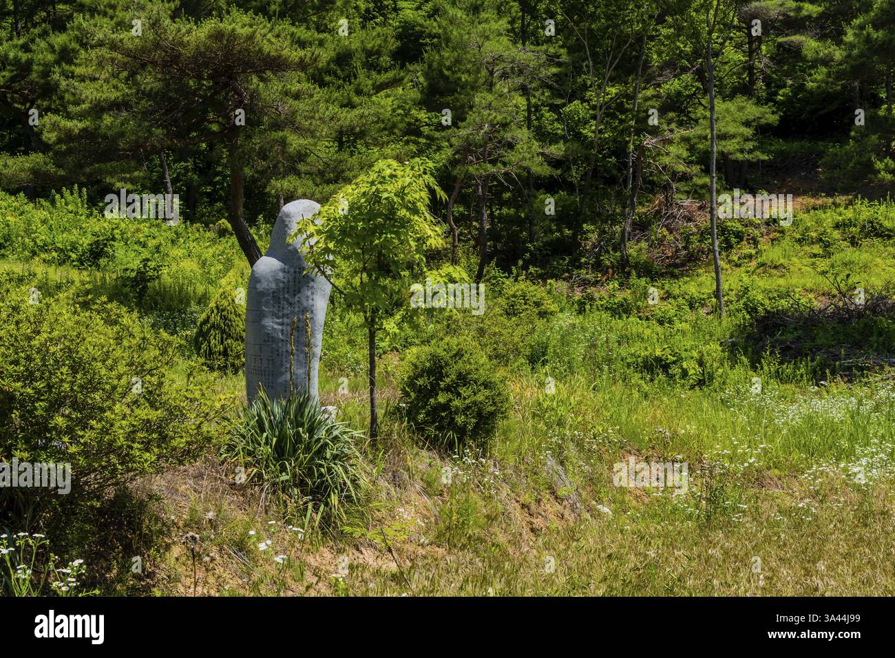 Chungcheongbuk-do, South Korea: June 16, 2019: Marked burial mounds in ...