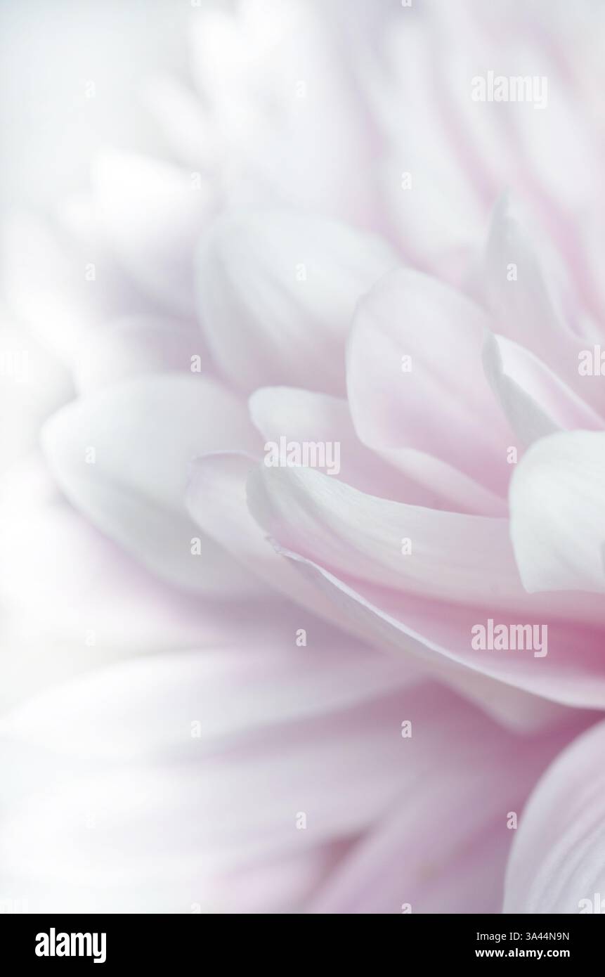 Background overexposed hi-res stock photography and images - Alamy