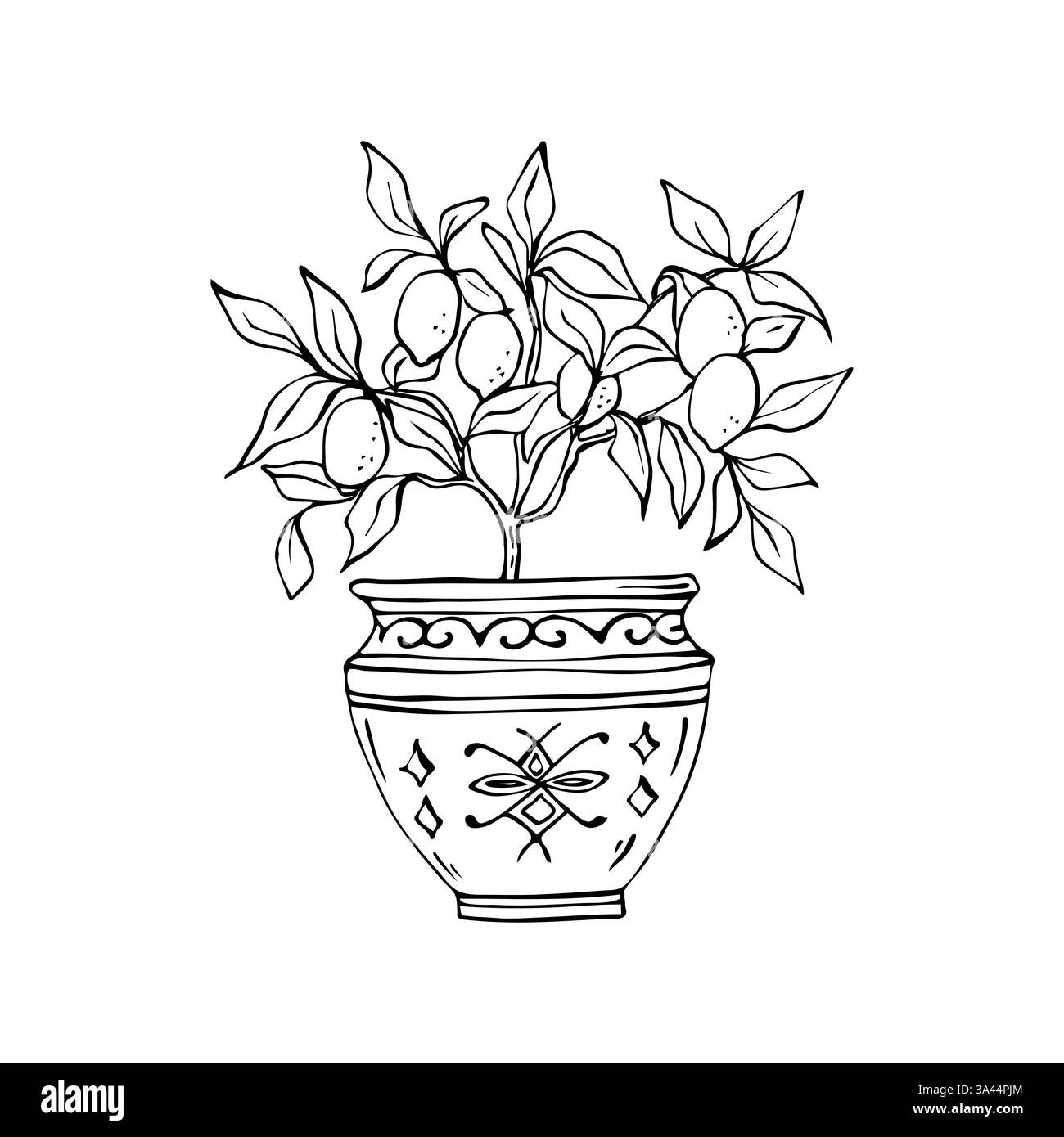 Sketch of tree hi-res stock photography and images - Alamy