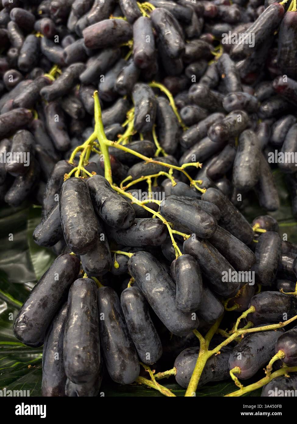 Sweet sapphire grapes displayed at the market. These grapes are black ...