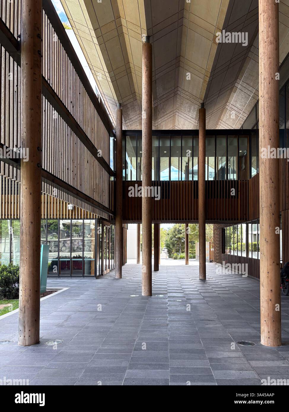 Columnar structural elements at a contemporary Sydney's Marrickville ...