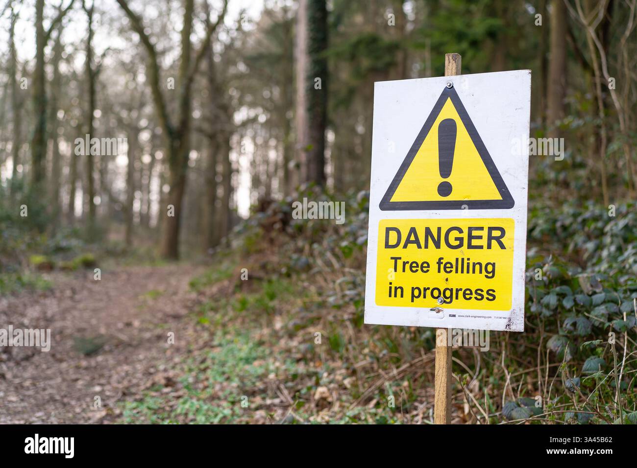Danger tree felling in progress sign pegged into the ground on the edge ...