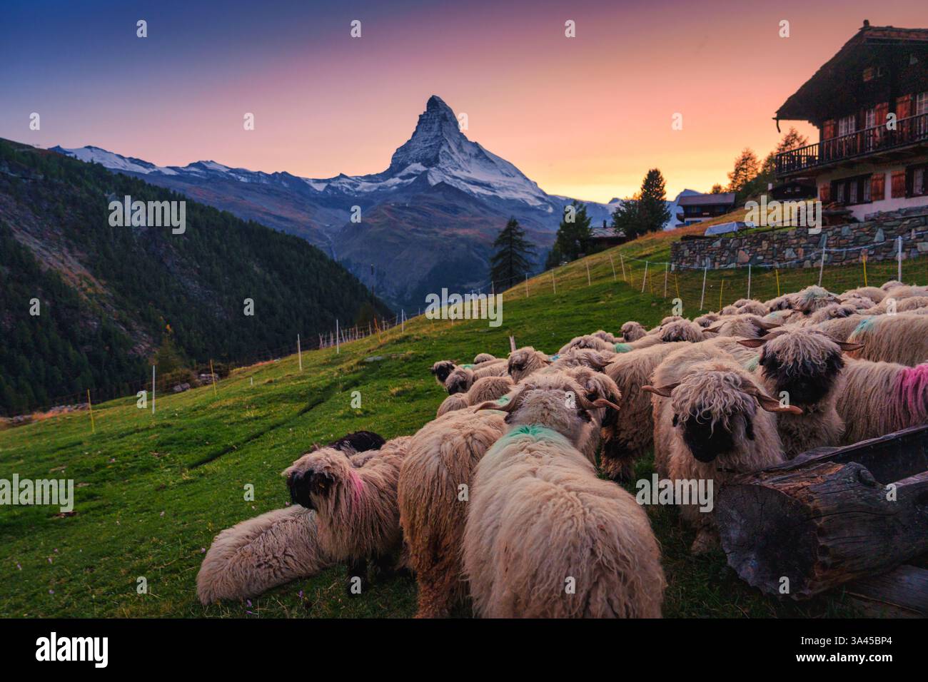 Beuatiful rustic view of Sunset over Matterhorn mountain with Valais ...