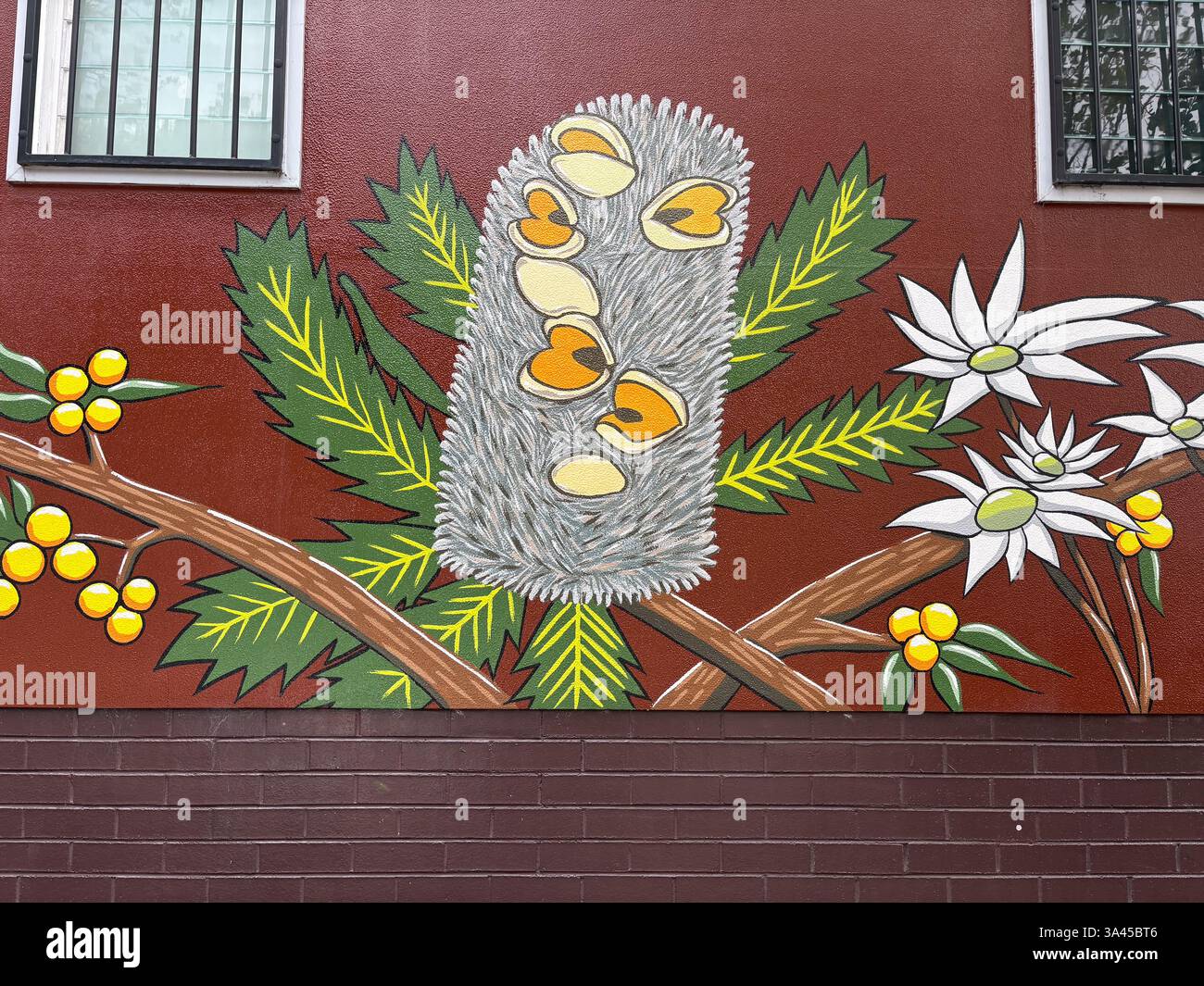Mural of Australian native plants on building exterior, showcasing ...