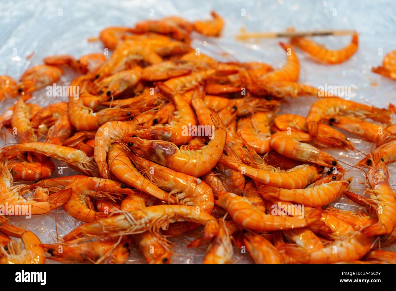 A Beautiful Display of Freshly Cooked Tiger Prawns on Ice Ready for ...