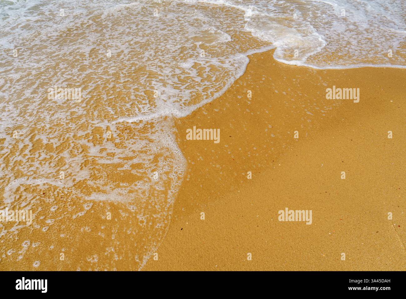 Stunning Beach View with Golden Sand, Gentle Waves, and Clear Blue Sky ...