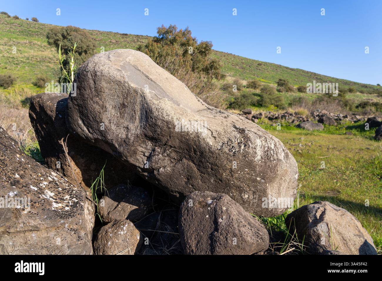 Basalt rocks in the Upper Galilee Stock Photo - Alamy