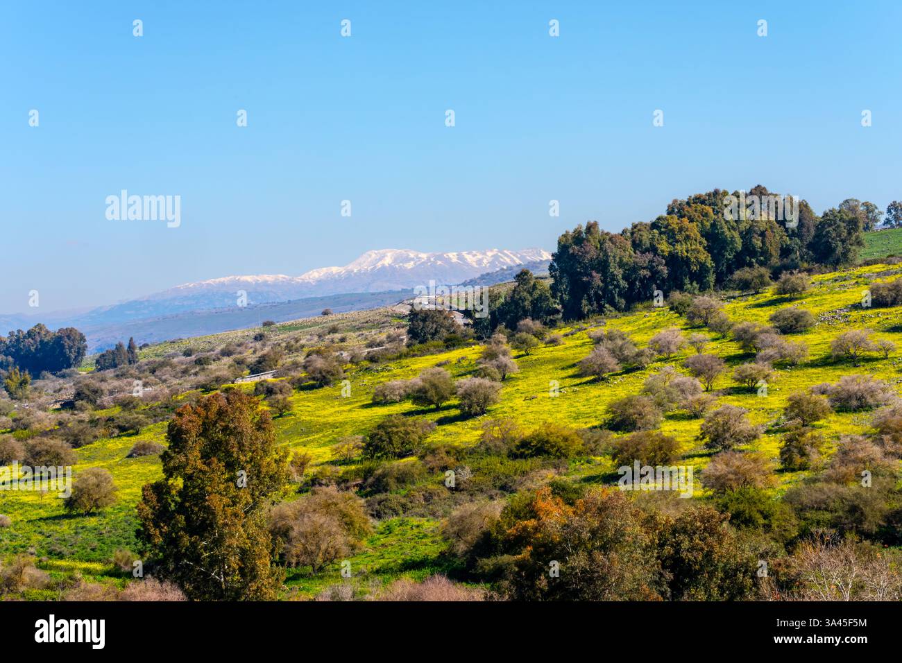 Upper Galilee and Mount Hermon Stock Photo - Alamy