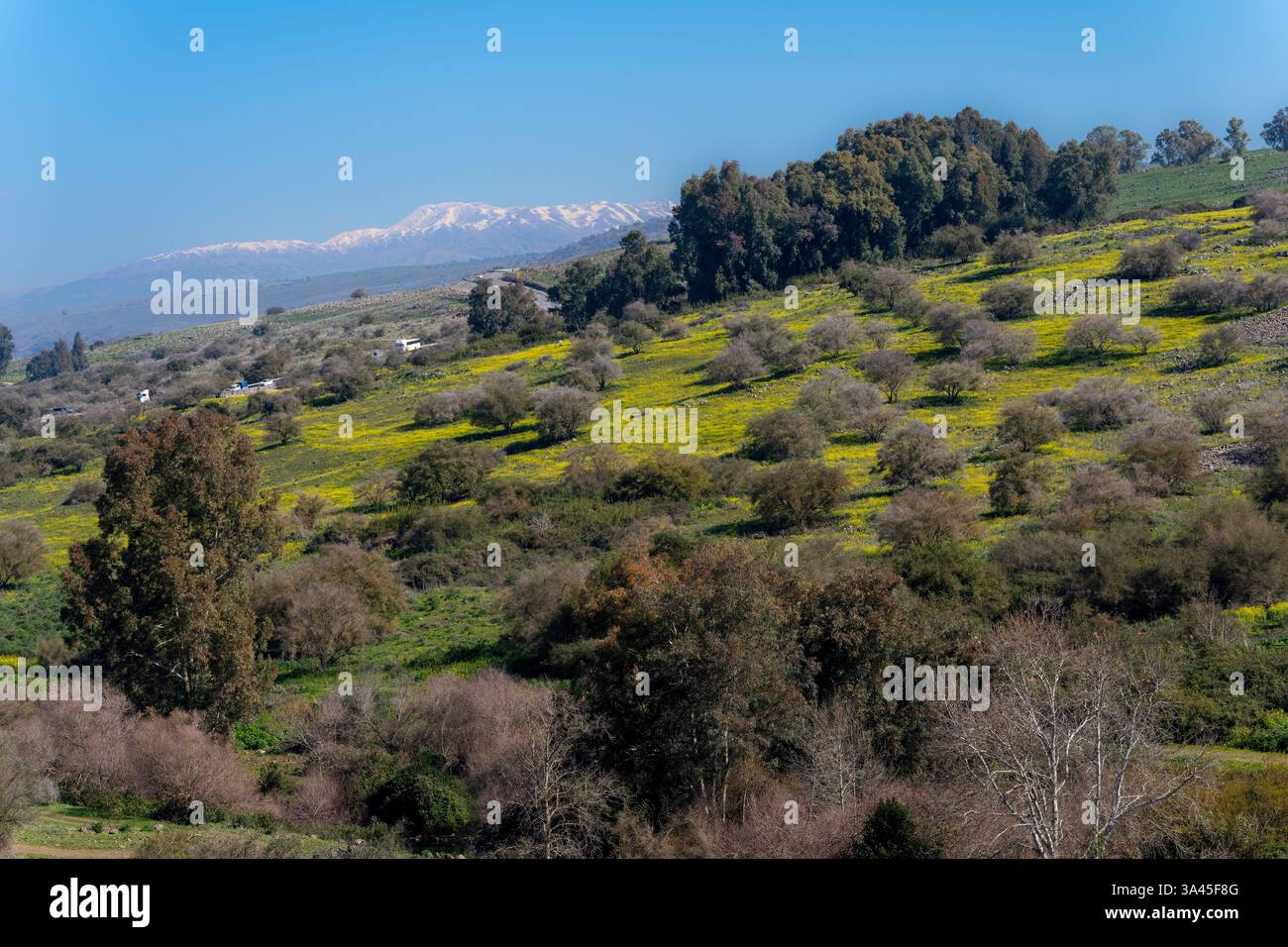 Upper Galilee and Mount Hermon Stock Photo - Alamy