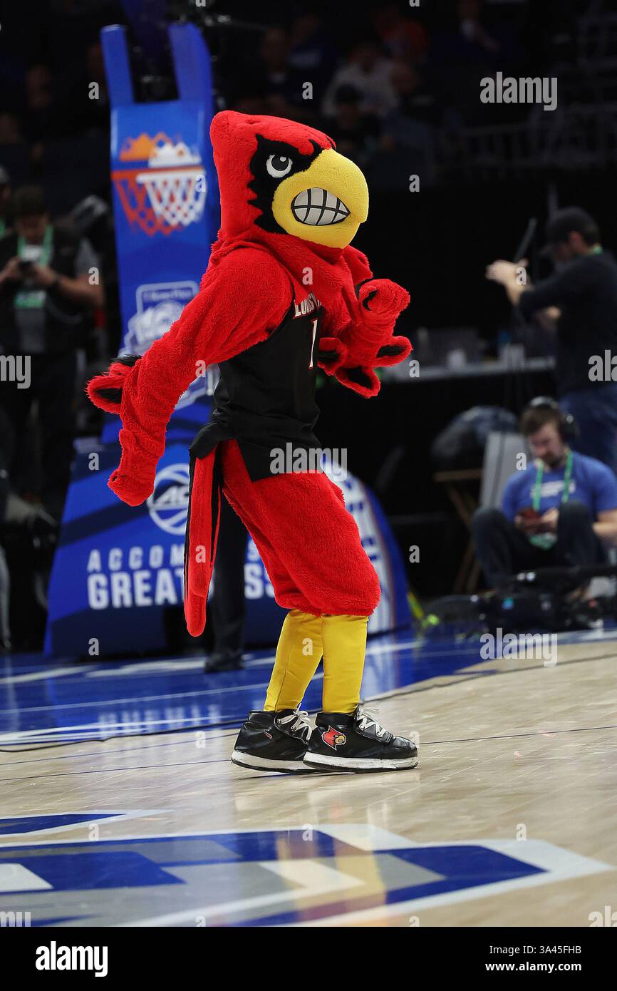 CHARLOTTE, NC - MARCH 14: Louisville mascot during the ACC Men's ...