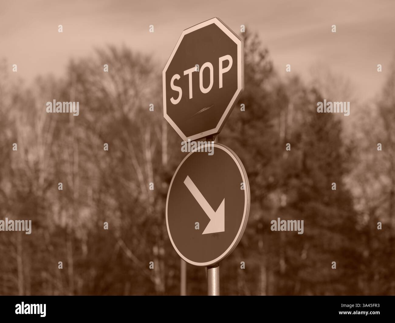 Skånes-Fagerhult, Skåne, Sweden. March 18 2025. Stop sign Stock Photo ...