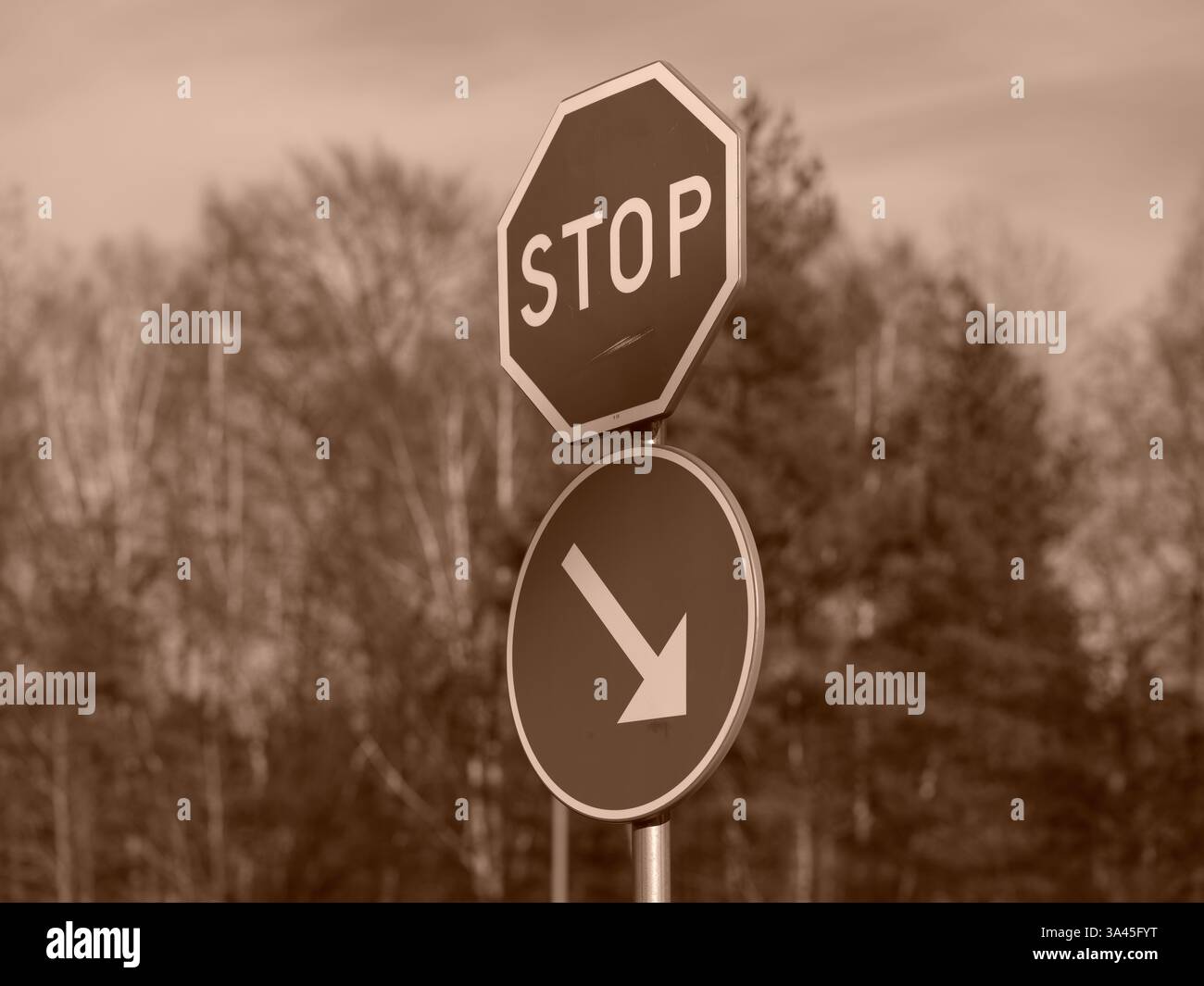 Skånes-Fagerhult, Skåne, Sweden. March 18 2025. Stop sign Stock Photo ...