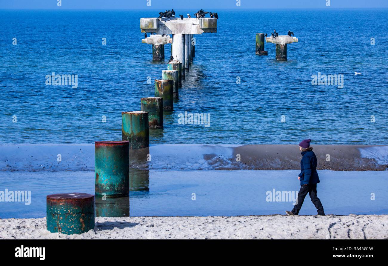 Rerik, Germany. 26th Feb, 2025. The remains of the former pier on the ...