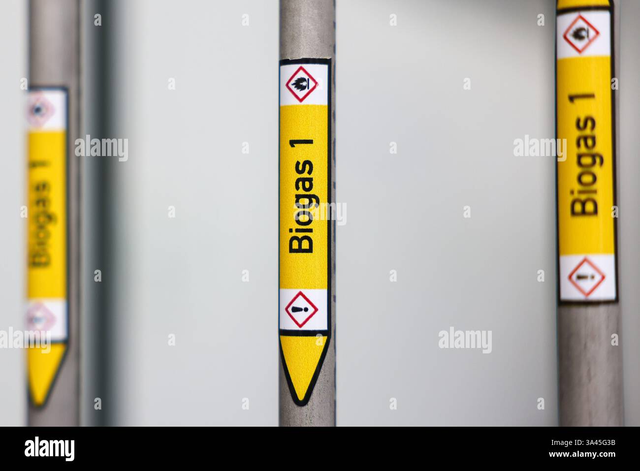 Leipzig, Germany. 18th Mar, 2025. Pipelines labeled "Biogas" lead to a ...