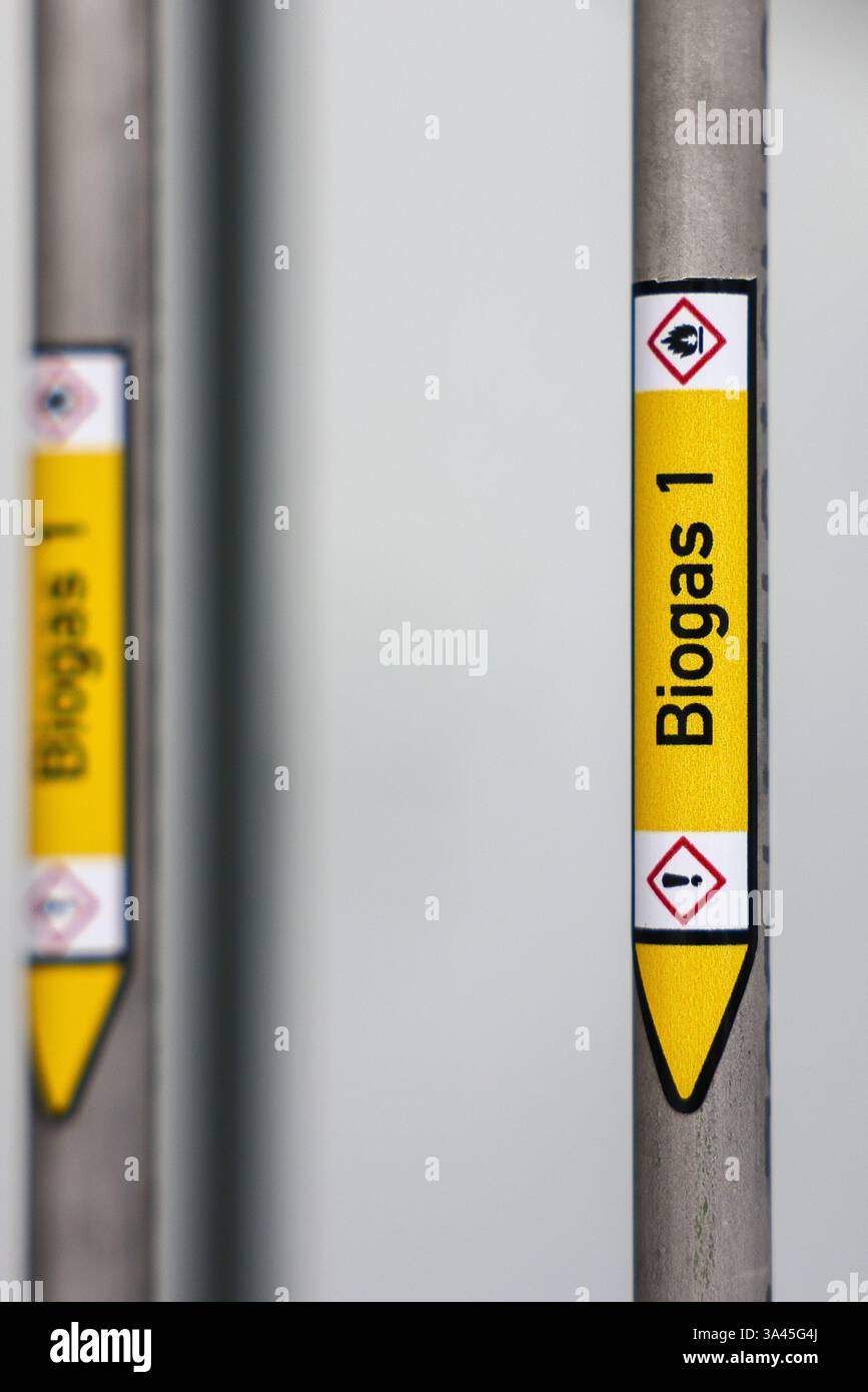 Leipzig, Germany. 18th Mar, 2025. Pipelines labeled "Biogas" lead to a ...