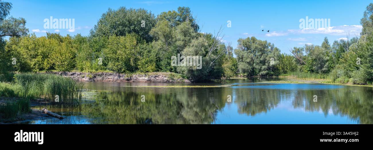 A peaceful riverside view, showcasing lush greenery mirrored in the ...