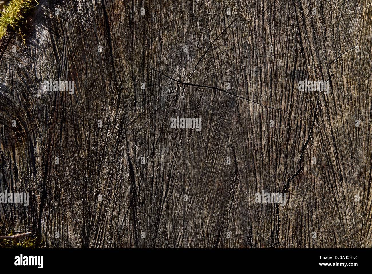 "Aged Wood Texture with Natural Cracks and Scratches Stock Photo - Alamy