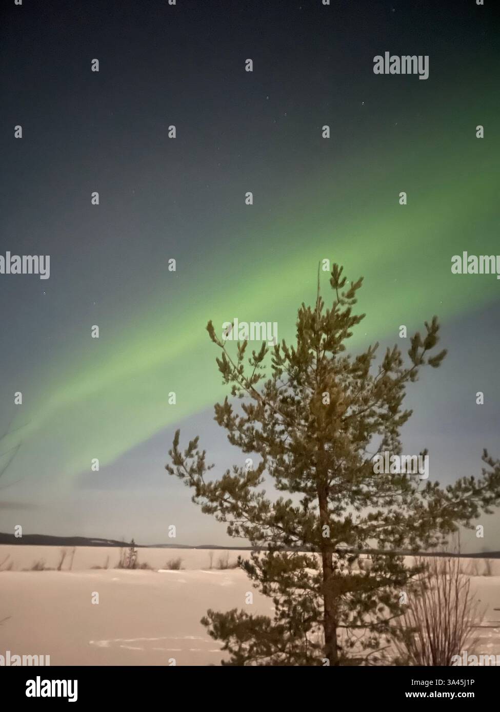 Green Northern Lights dancing over the Arctic sky – A breathtaking ...