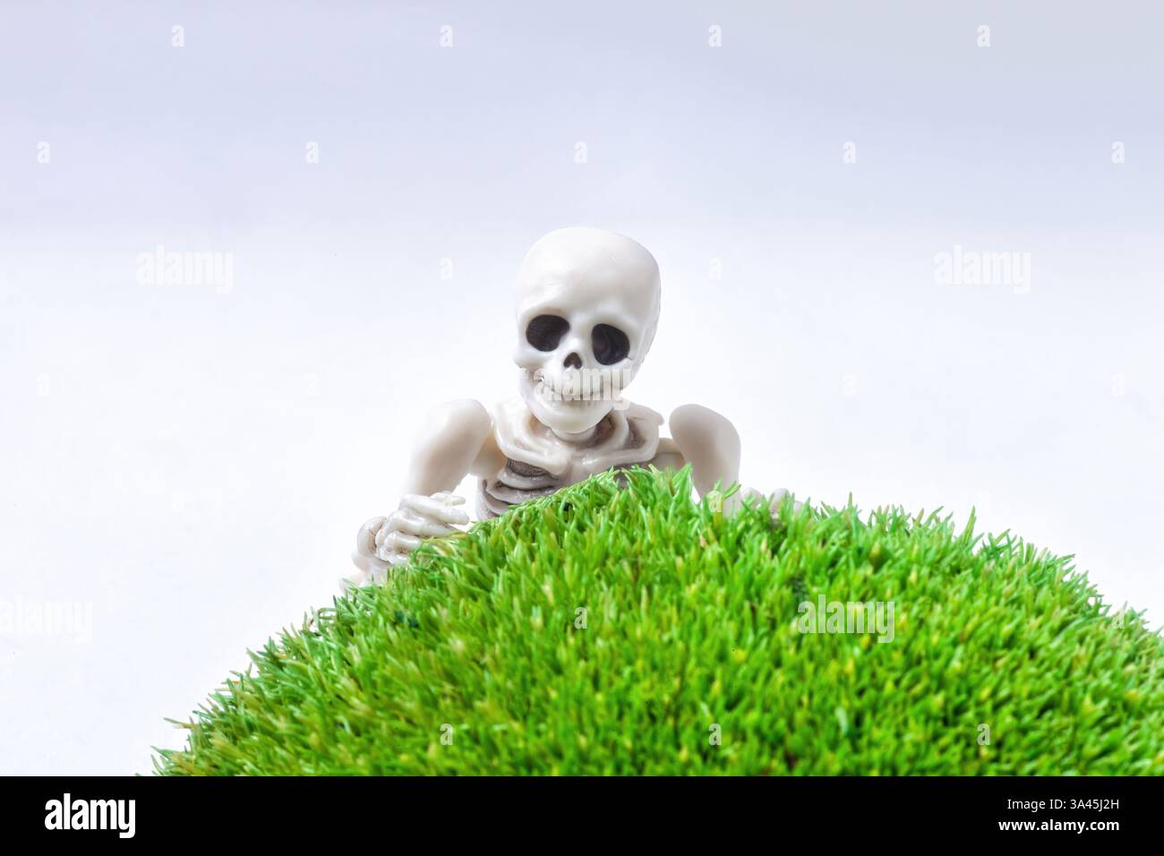 Human skeleton lying on front on moss. Spooky skeleton figurine hiding ...