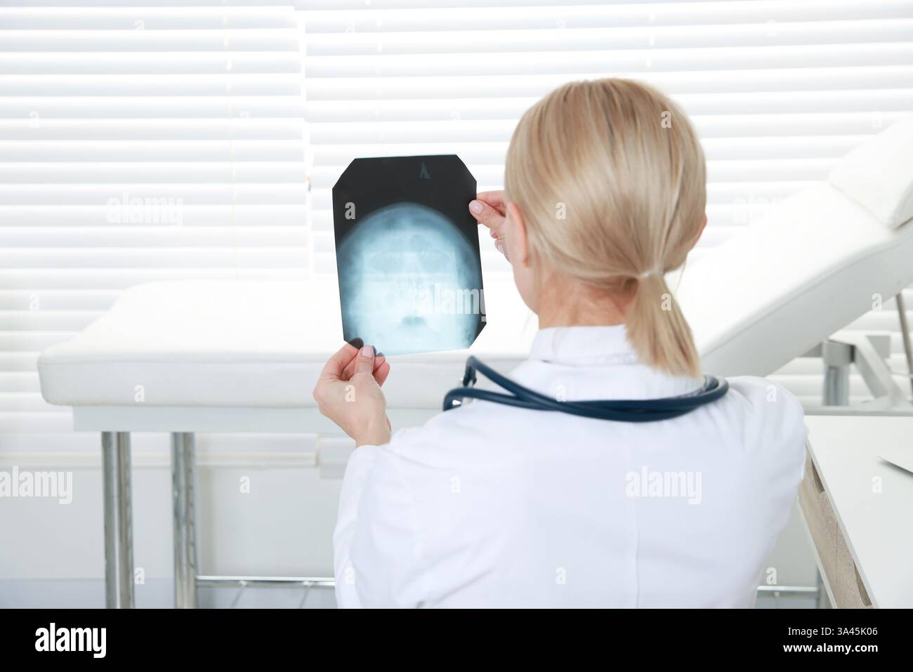 Doctor examining x-ray image of paranasal sinuses in clinic, back view ...