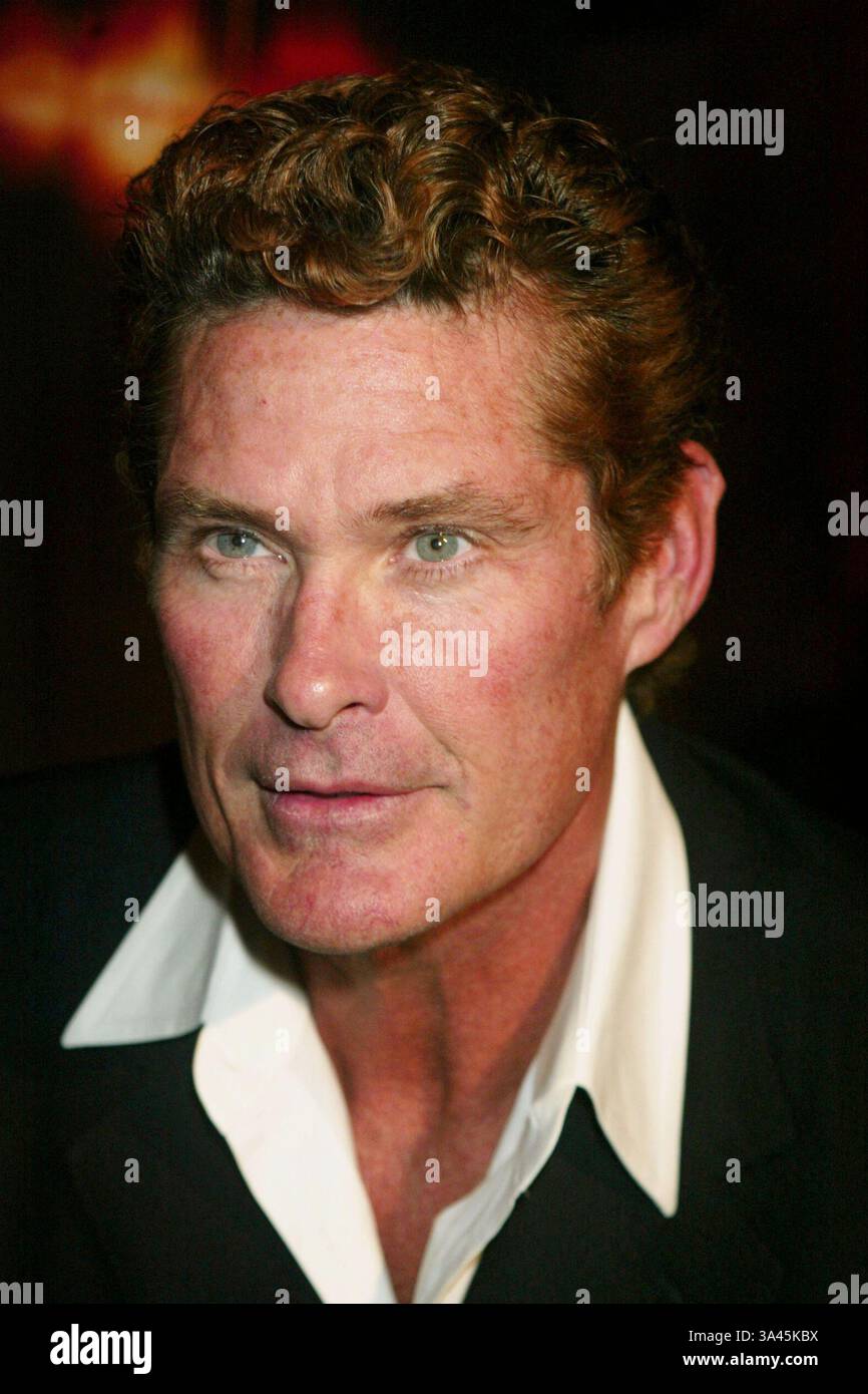 David Hasselhoff attends the opening night performance of "A New Day ...