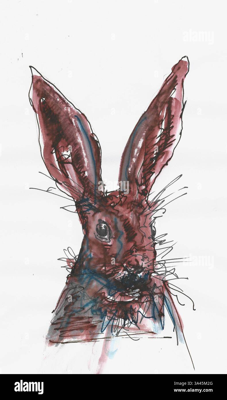 March hare European hare Stock Photo - Alamy