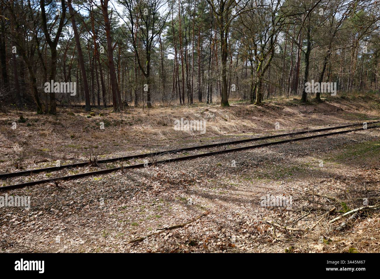 Abandoned railway tracks in forest hi-res stock photography and images ...