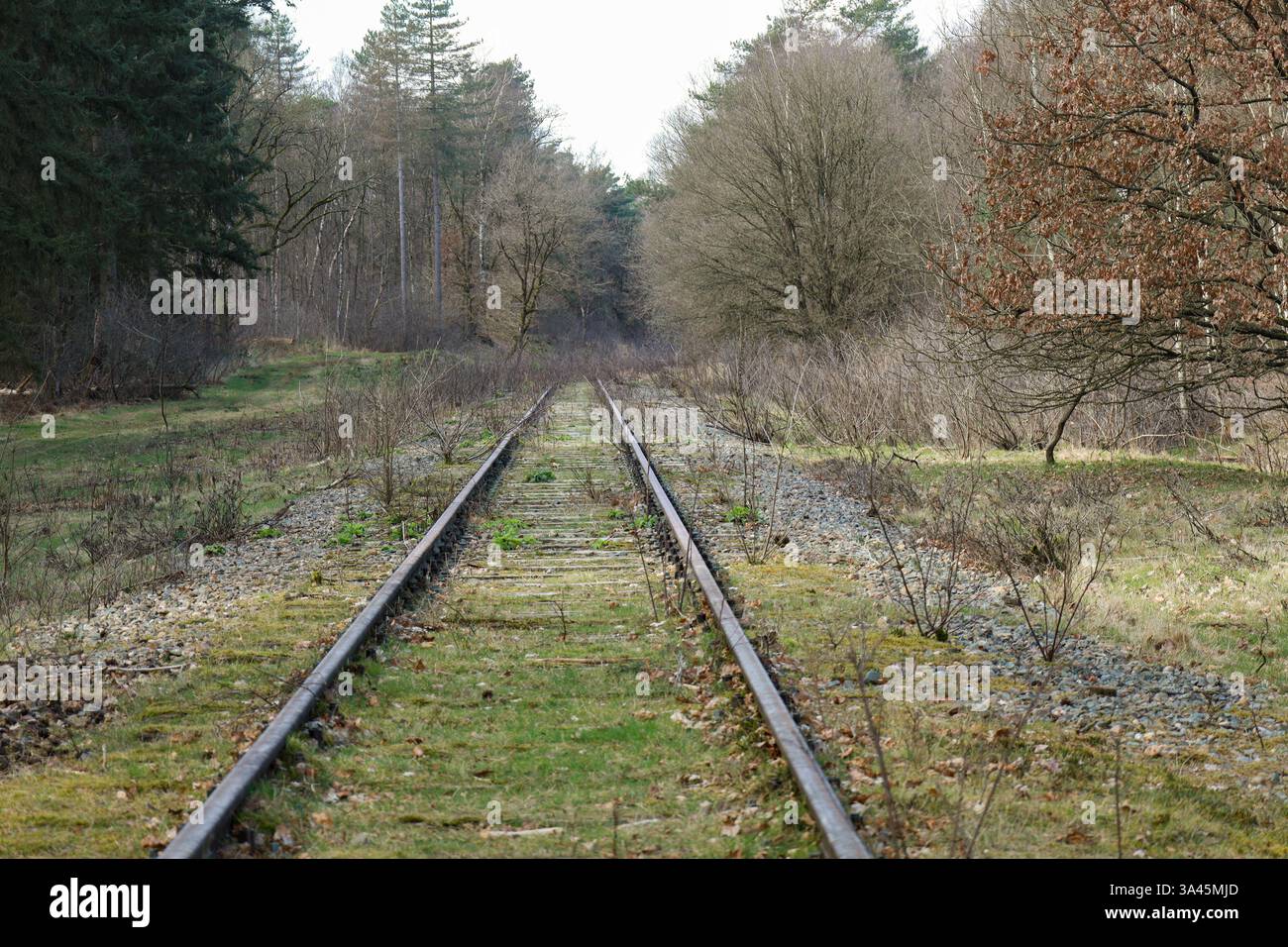 Abandoned railway tracks in forest hi-res stock photography and images ...