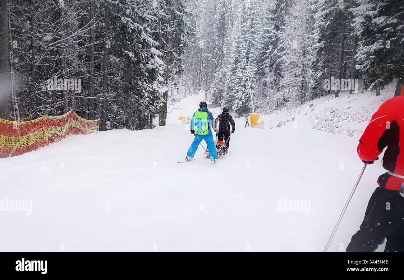 Mountain rescuers transporting an injured skier, going downhill after first aid. Slope rescue ...