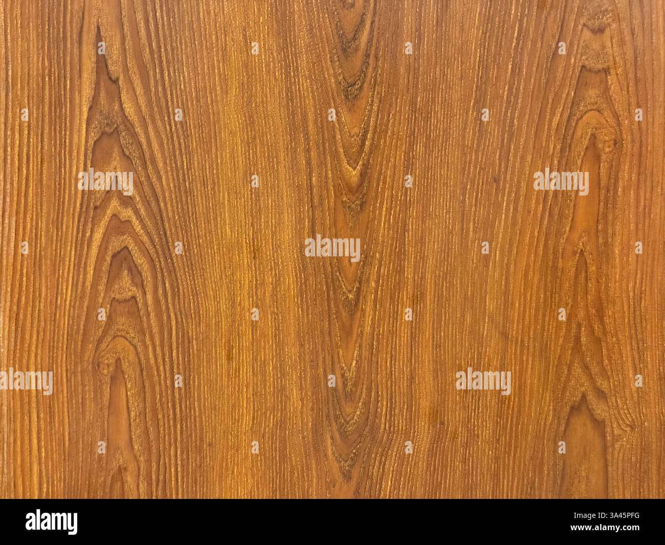 Close up of solid wood veins texture. Bright natural yellow brown wood ...