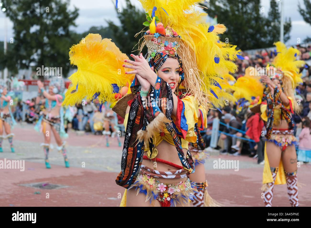 Traditional annual Estarreja samba carnival in Portugal. Costume music dance festival for adults ...
