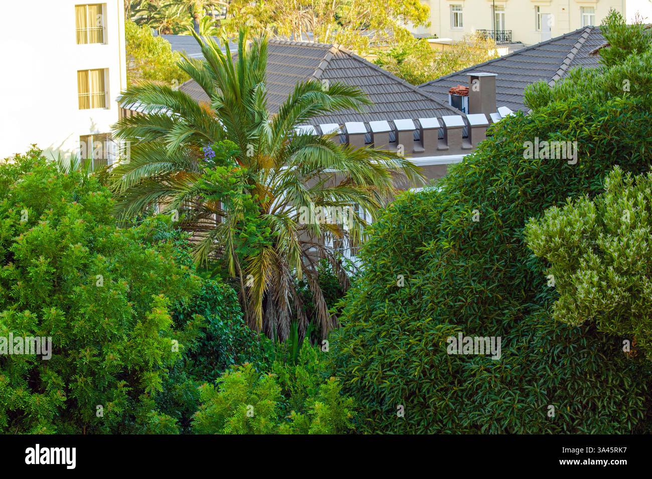 Magic garden in full greenery Stock Photo - Alamy