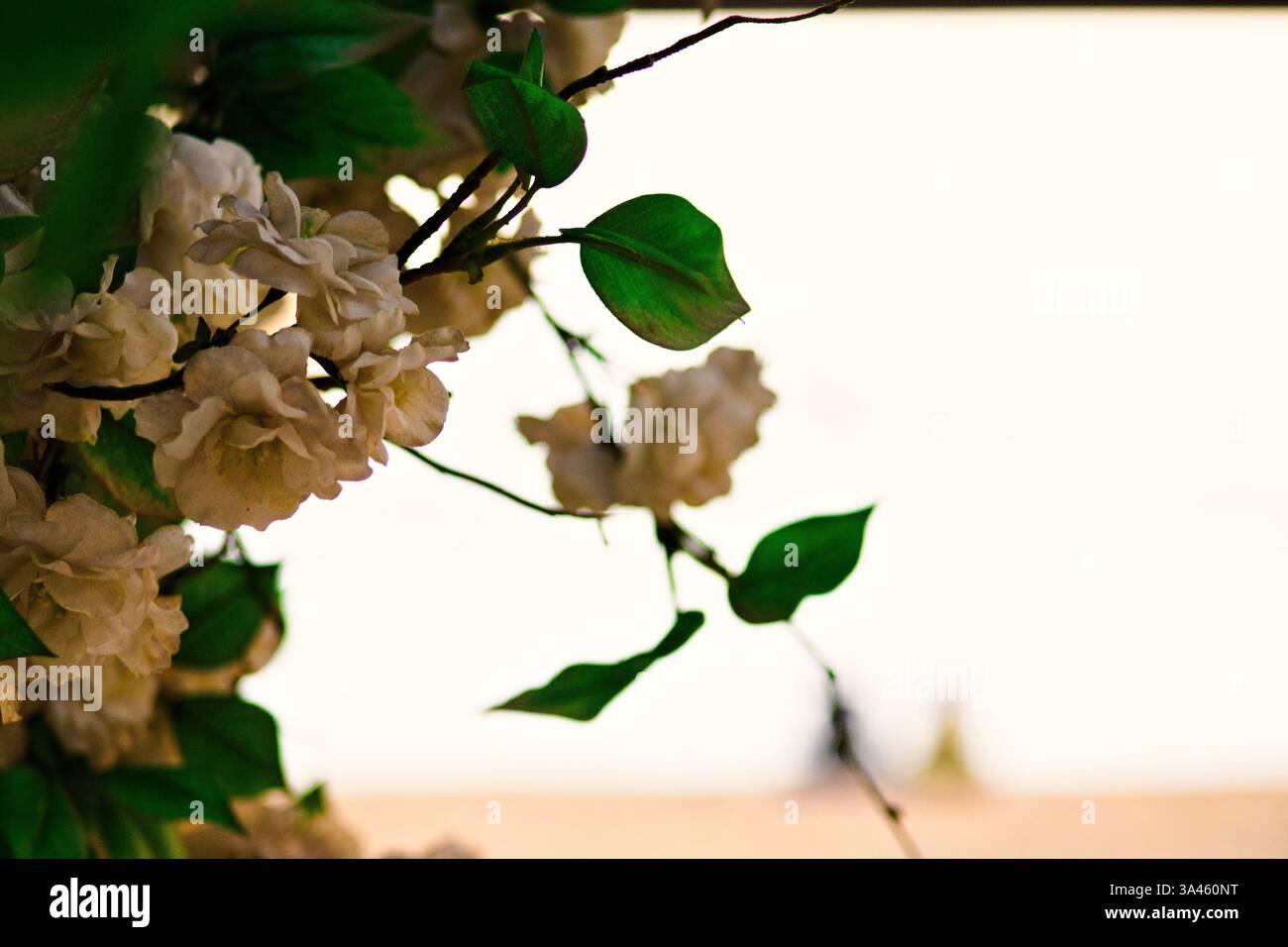 Bright bridal bouquet roses wedding hi-res stock photography and images ...